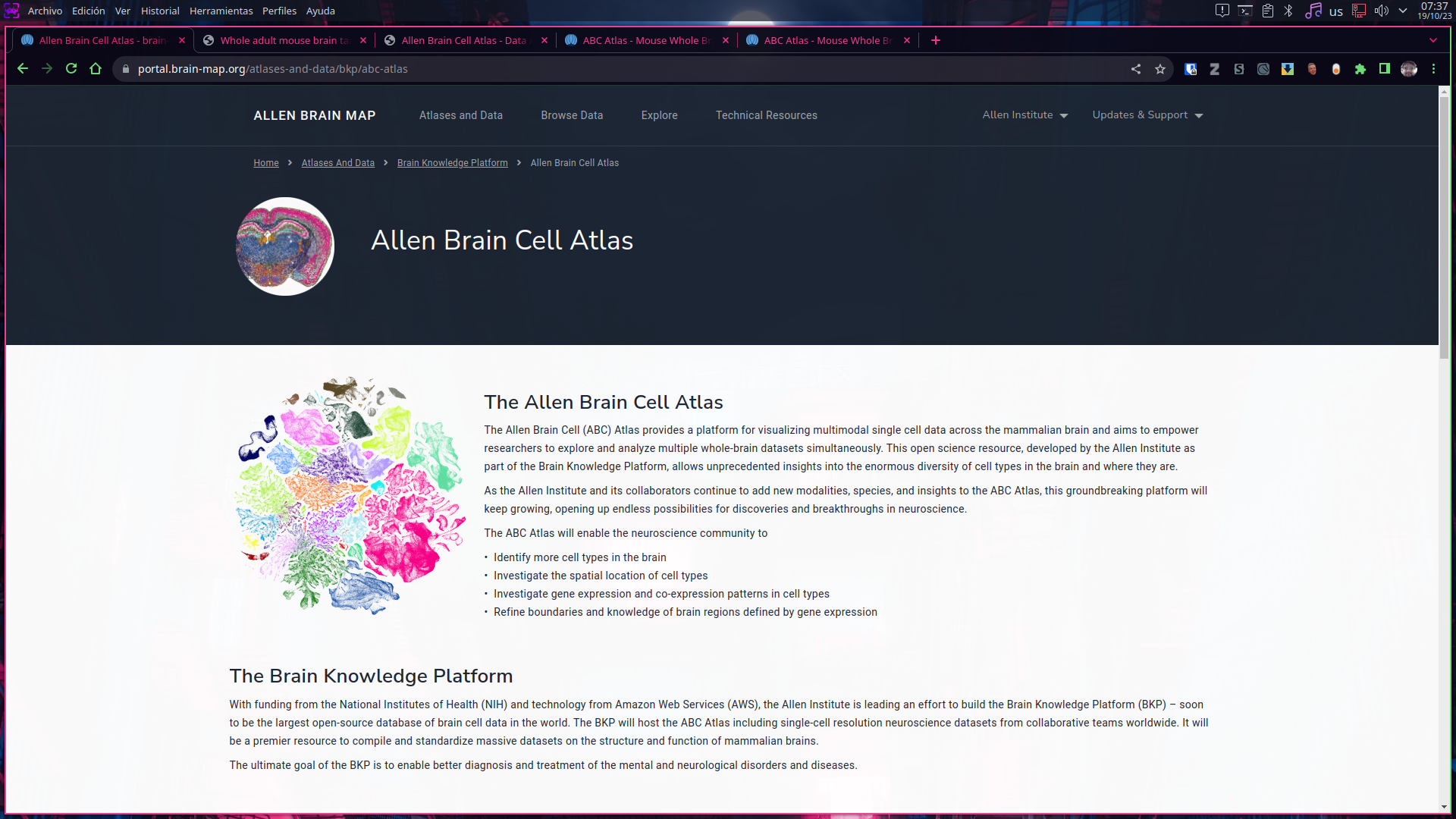 Tutoriales UBMI IFC | Recursos para la comunidad