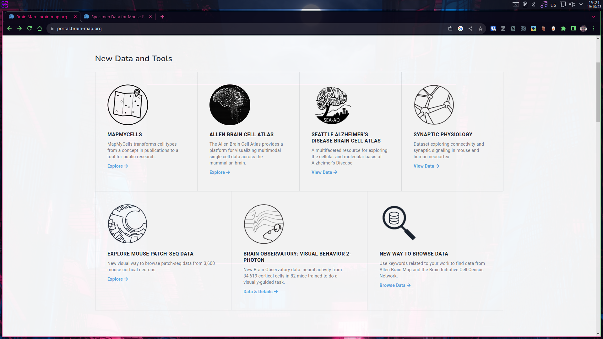 Tutoriales UBMI IFC | Recursos para la comunidad